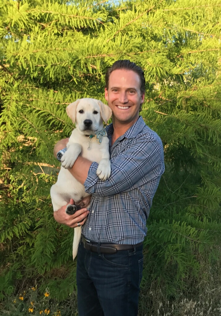 My White Labs | Raising and loving pure bred white labs since 1997