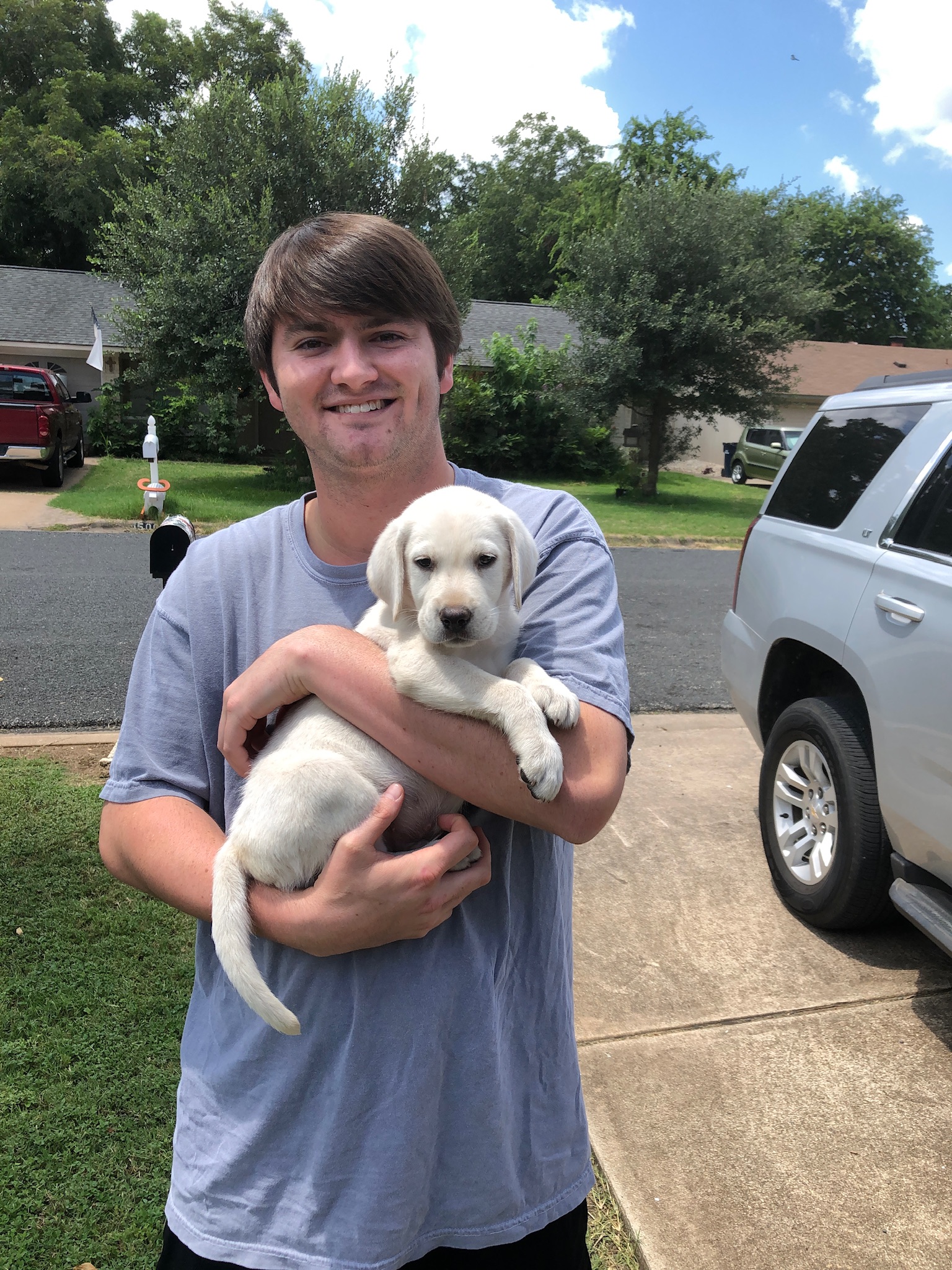 Taking a new white lab home is fun! | My White Labs